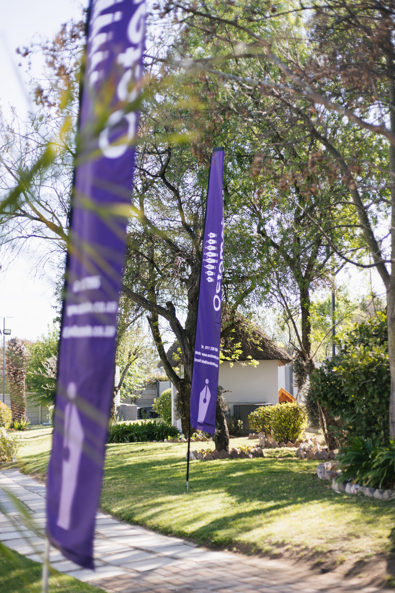 News - Octomate Education